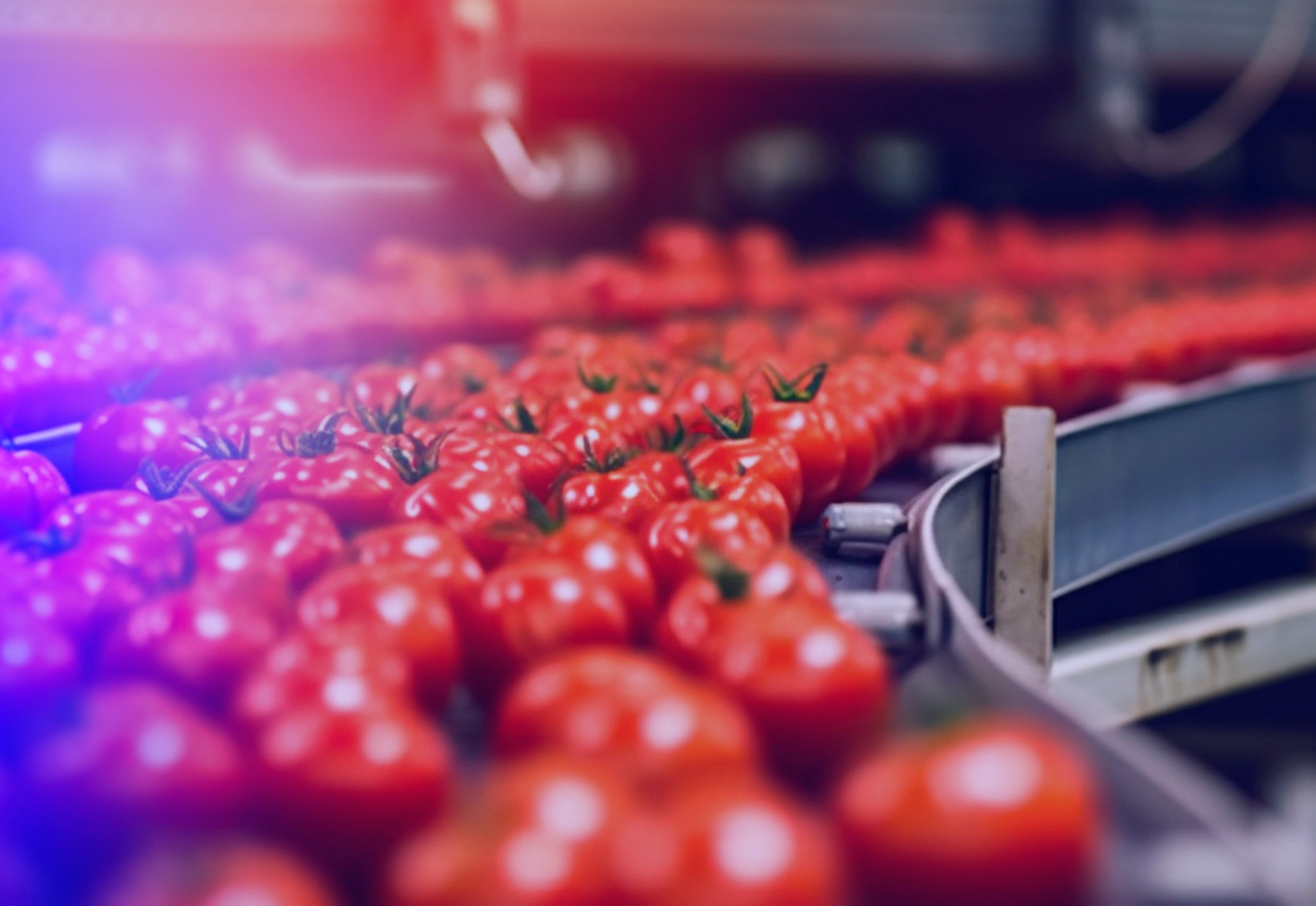 Farmbyte: Designing a state-of-the-art food hub to streamline ...