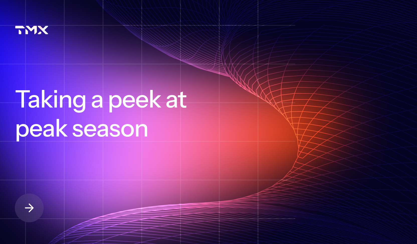 Preparing for the holiday peak season - already | TMX Transform