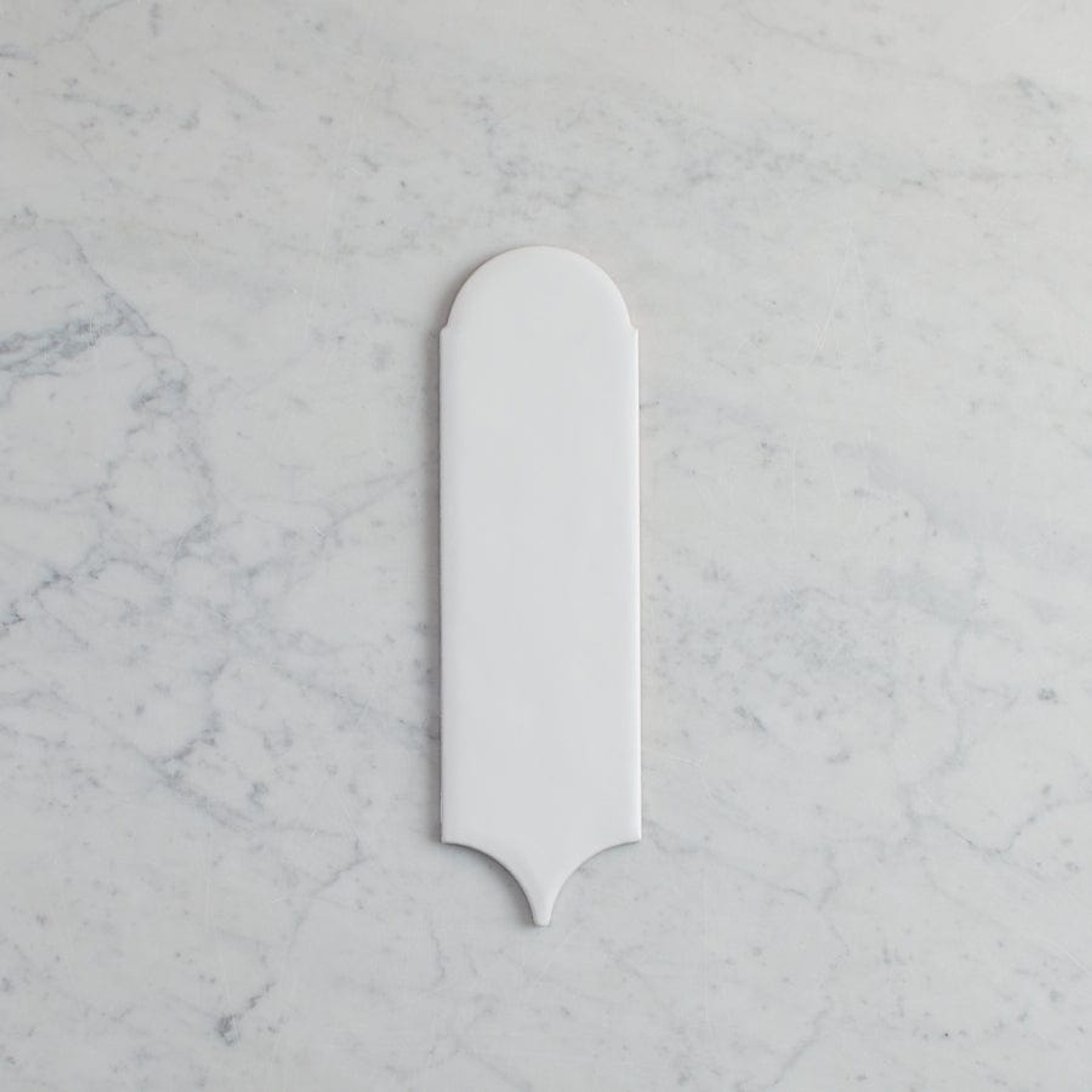 Fitzroy Gloss White Feather Tile | TileCloud