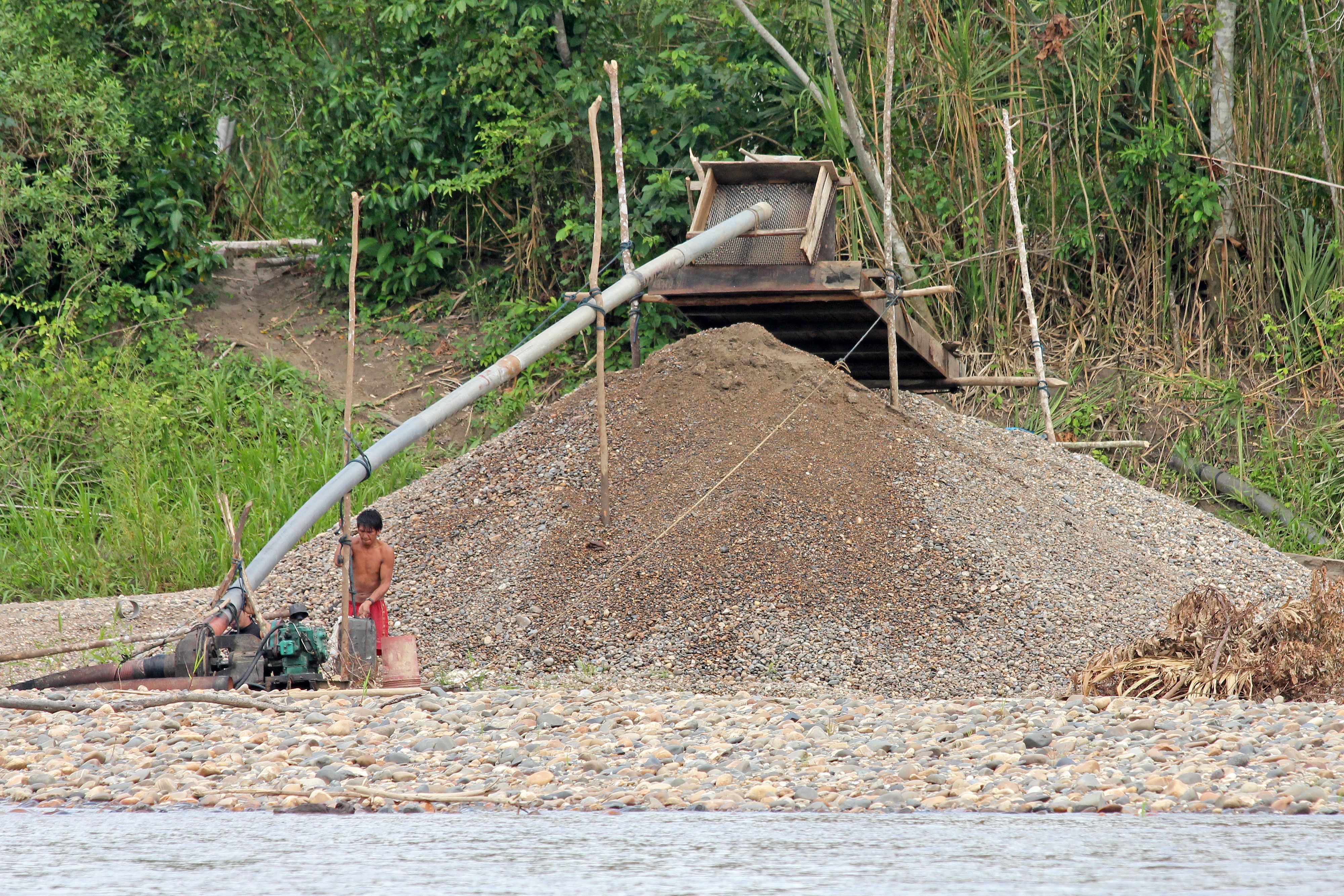 Deforestation in Peru: Confronting the informal practices, state ...