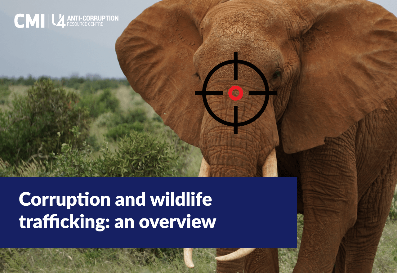 Corruption and wildlife trafficking: an overview