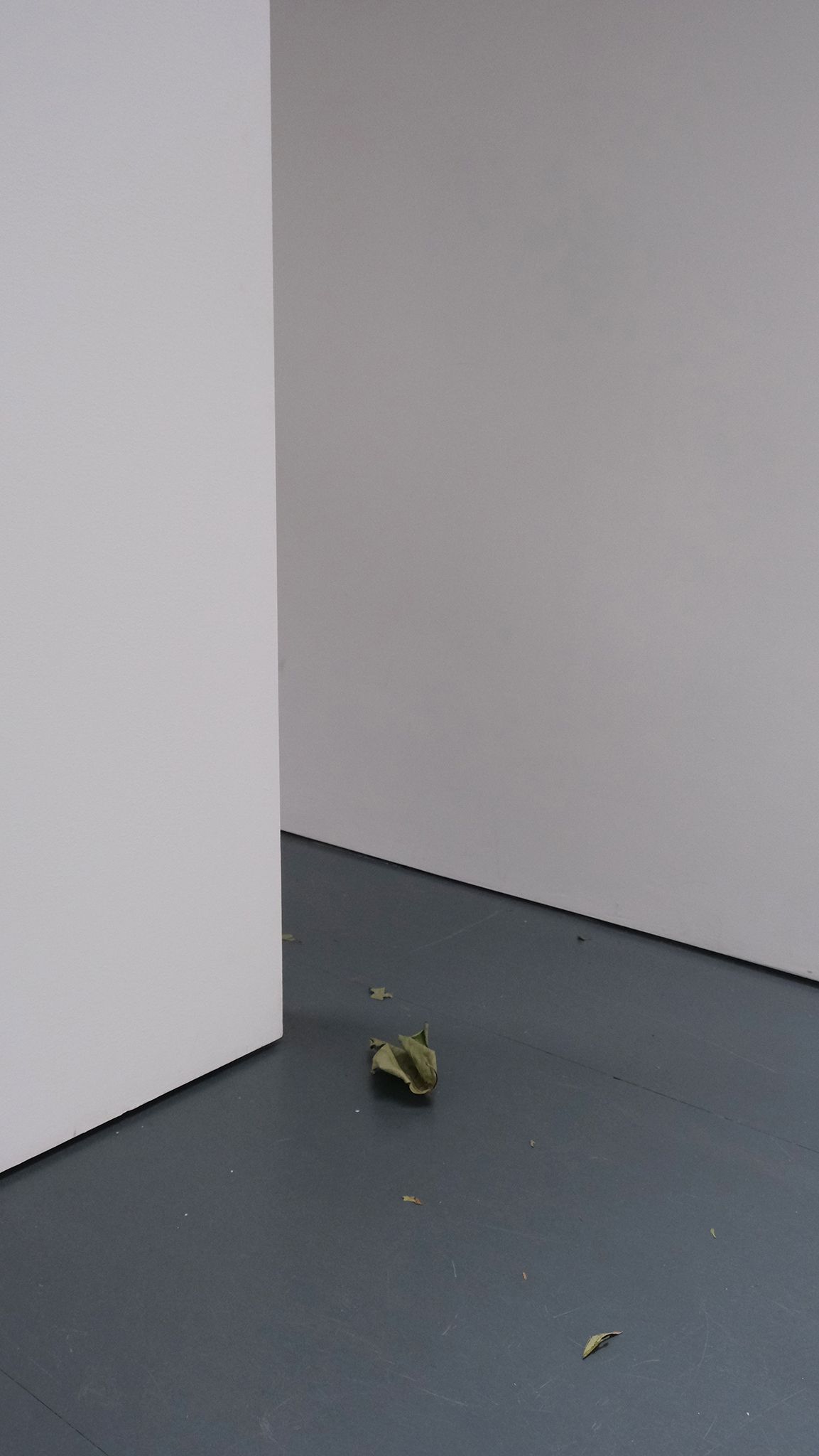 Elisabeth Molin, Scene 12 (SLOW PUNCTURE) | NO SHOW Elisabeth Molin, Scene 12 (SLOW PUNCTURE) | NO SHOW
