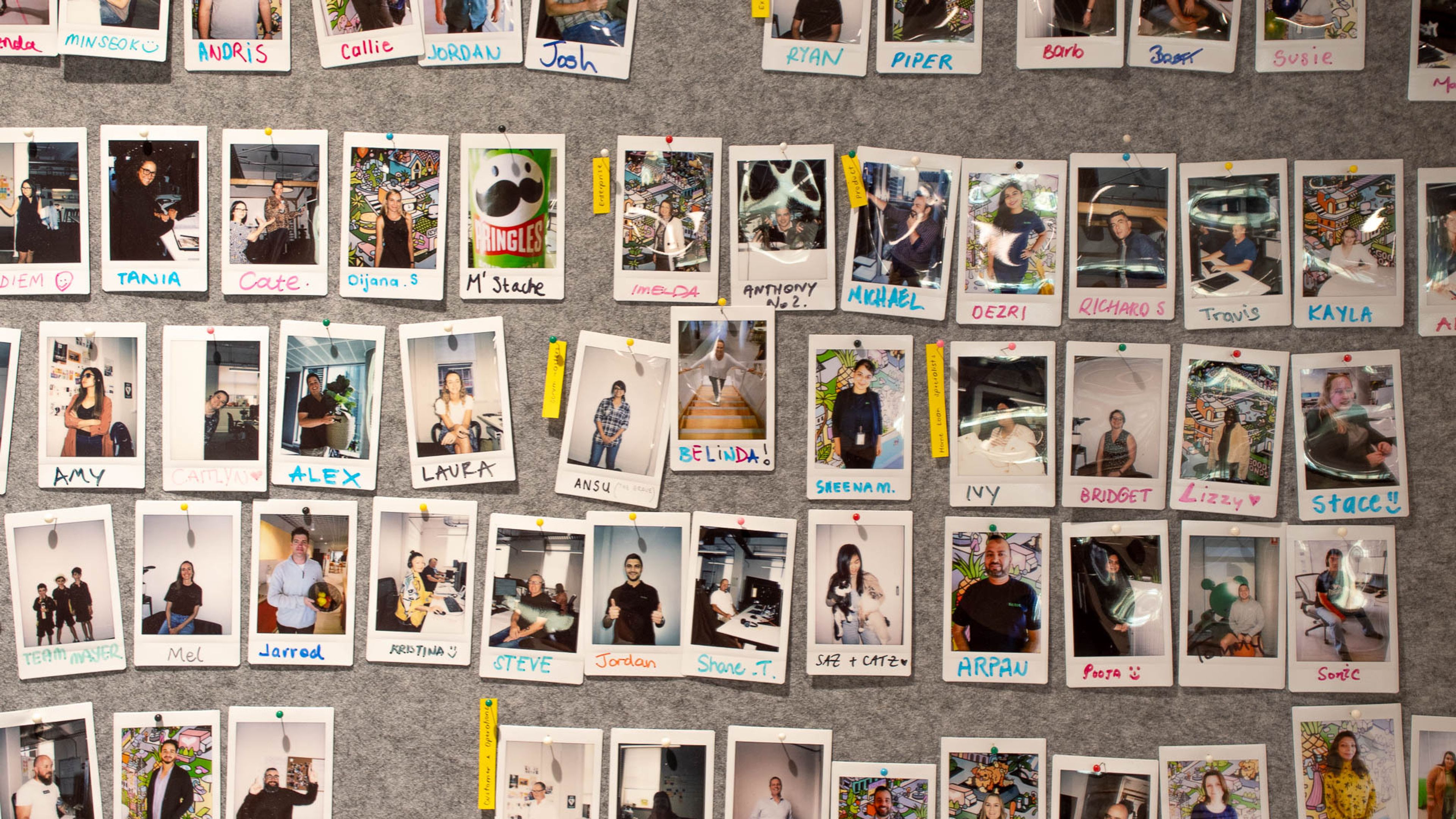 Meet the team