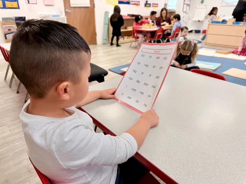 Is My Child Falling Behind? What It Really Means in Early Education ...