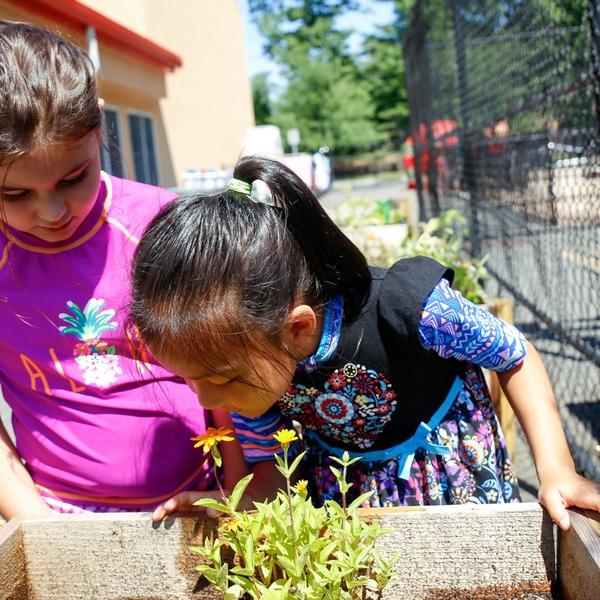 Celebrate Earth Day With Outdoor Learning | Apple Montessori Schools