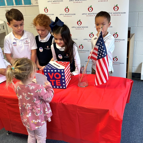 Apple Montessori Prepares for Upcoming Election | Apple Montessori Schools