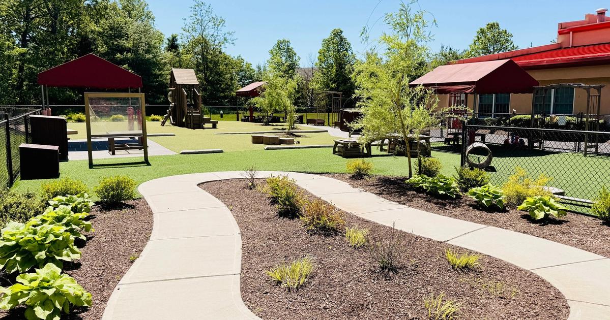 Nature as the Ultimate Classroom: The Benefits of Outdoor Learning ...