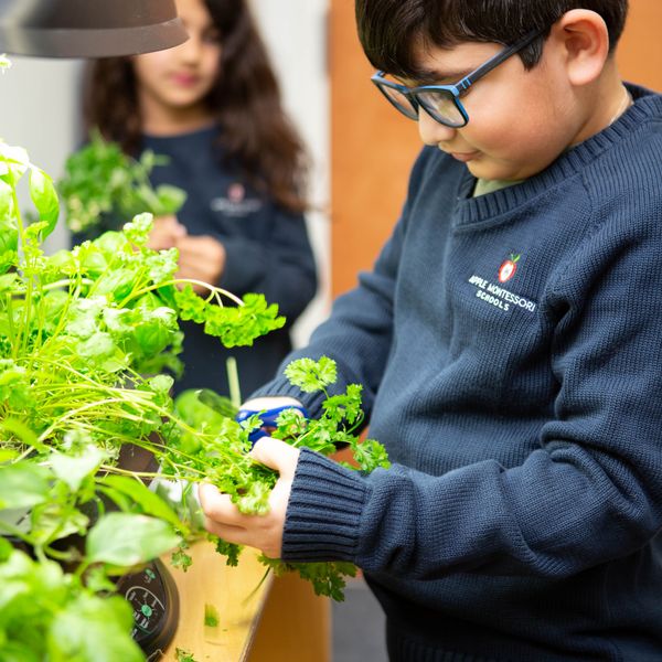 Wayne Preschool, Elementary School, & Daycare | Apple Montessori Schools