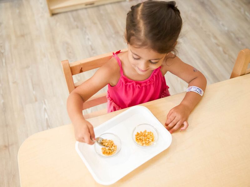 Putting Students First: Apple Montessori's Child-Centered Approach ...