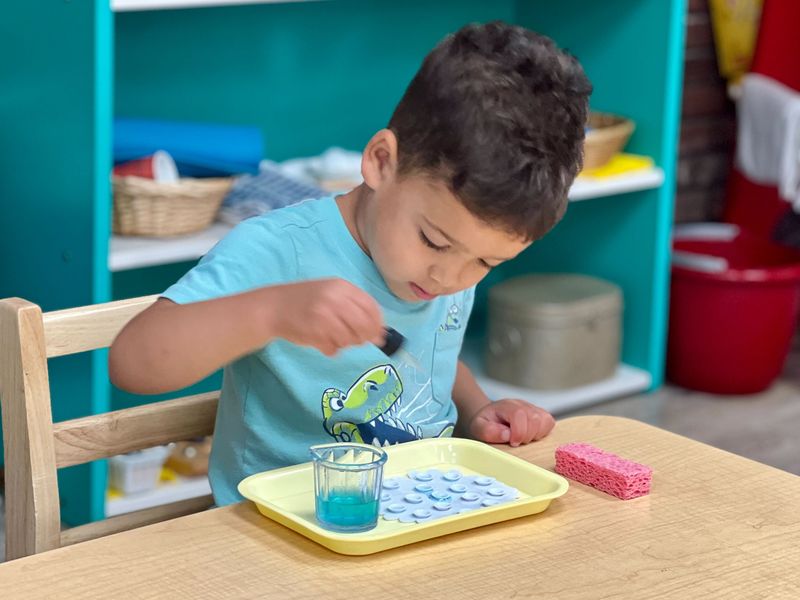 Happy STEM/STEAM Day! | Apple Montessori Schools