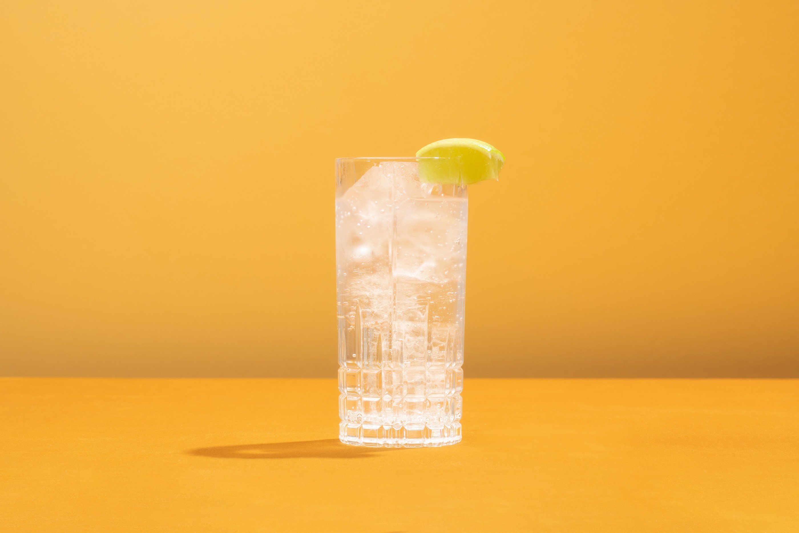 Classic Gin & Tonic Recipe
