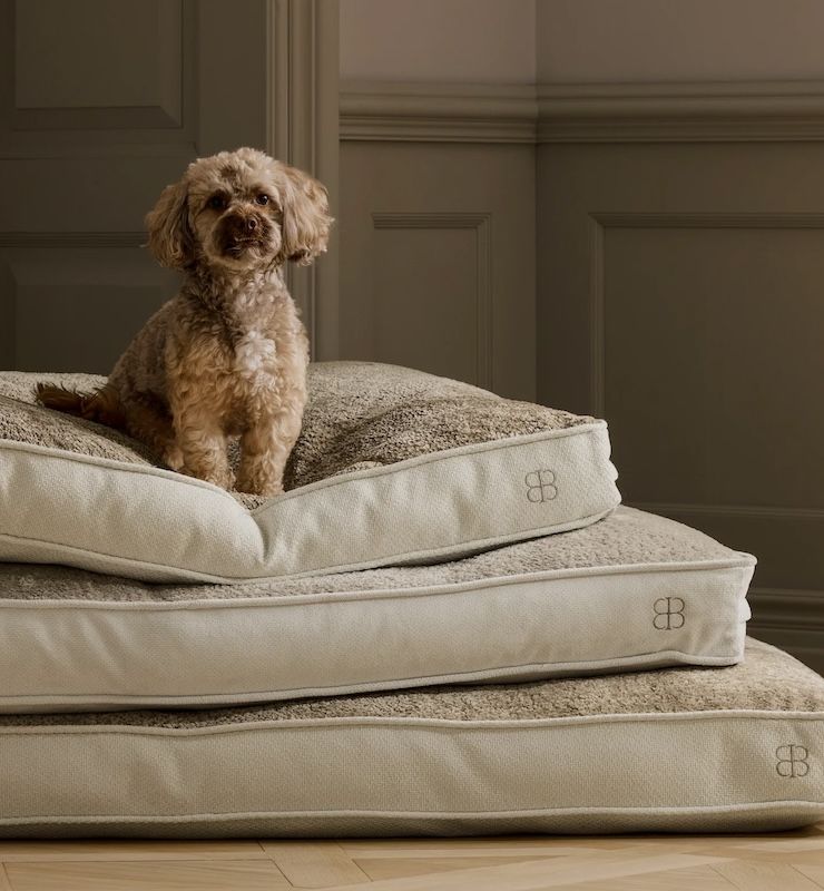 Luxury Pet Beds Collection - Comfort for Your Furry Friends | Boll ...