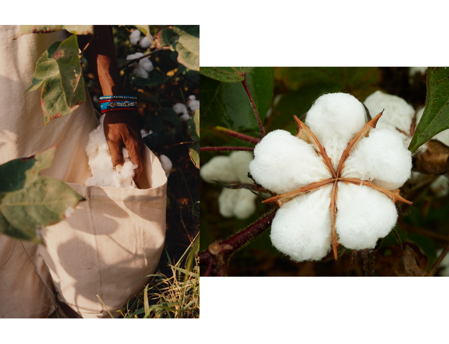 Modern Cable Knit Throw Blanket | Cozy & Stylish | Boll & Branch