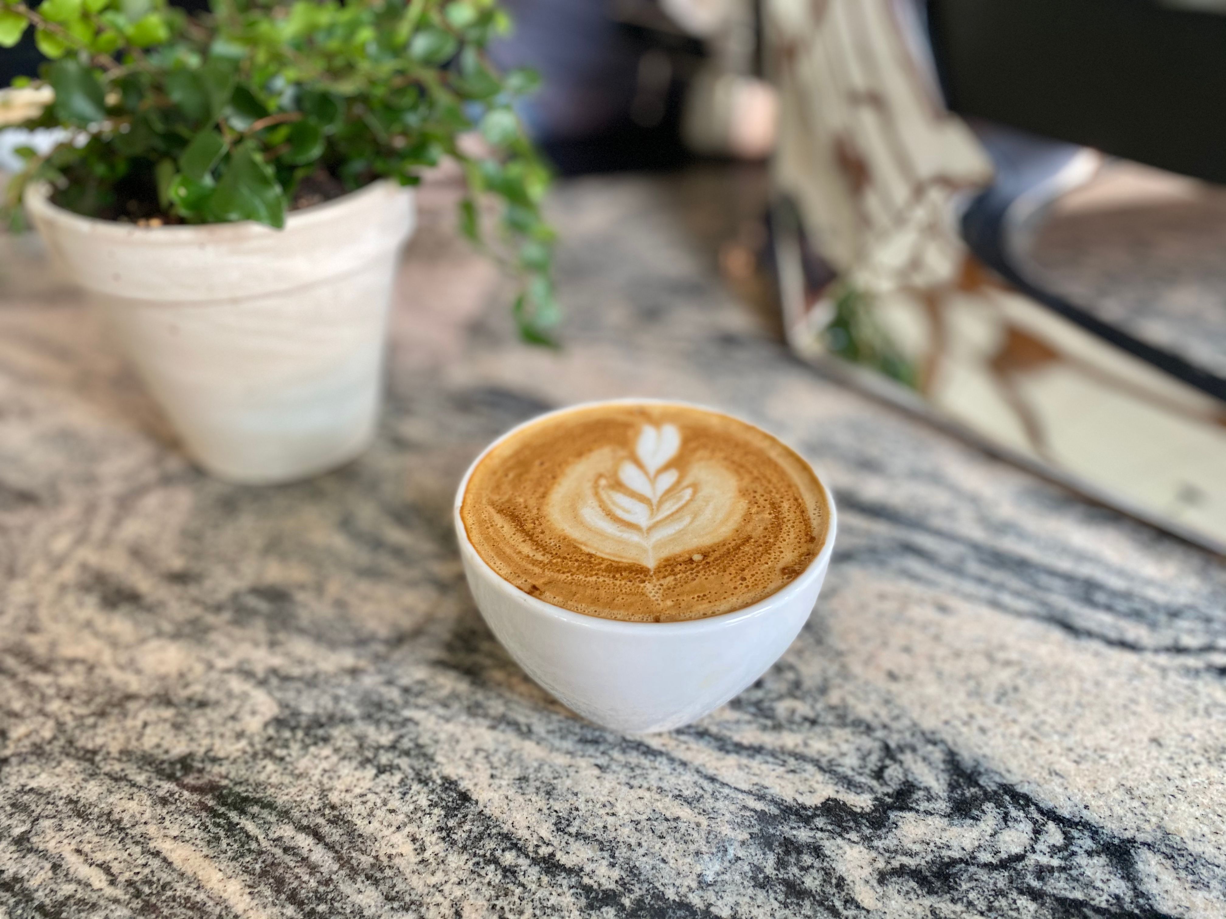 Coffee Shops in the Tims Ford Lake Area