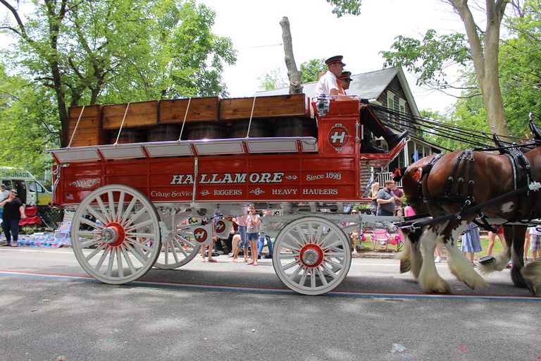 Show-Ready Clydesdale Horses in New England: Book Now! | Hallamore ...