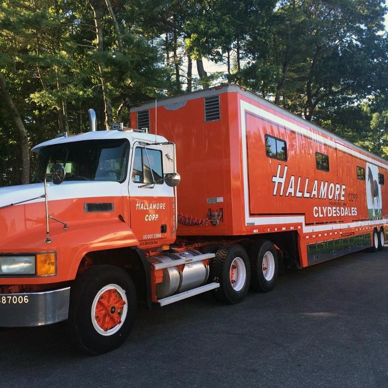 Show-Ready Clydesdale Horses in New England: Book Now! | Hallamore ...