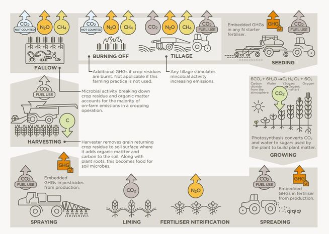 Carbon and Cropping Report | Building a more profitable and sustainable ...