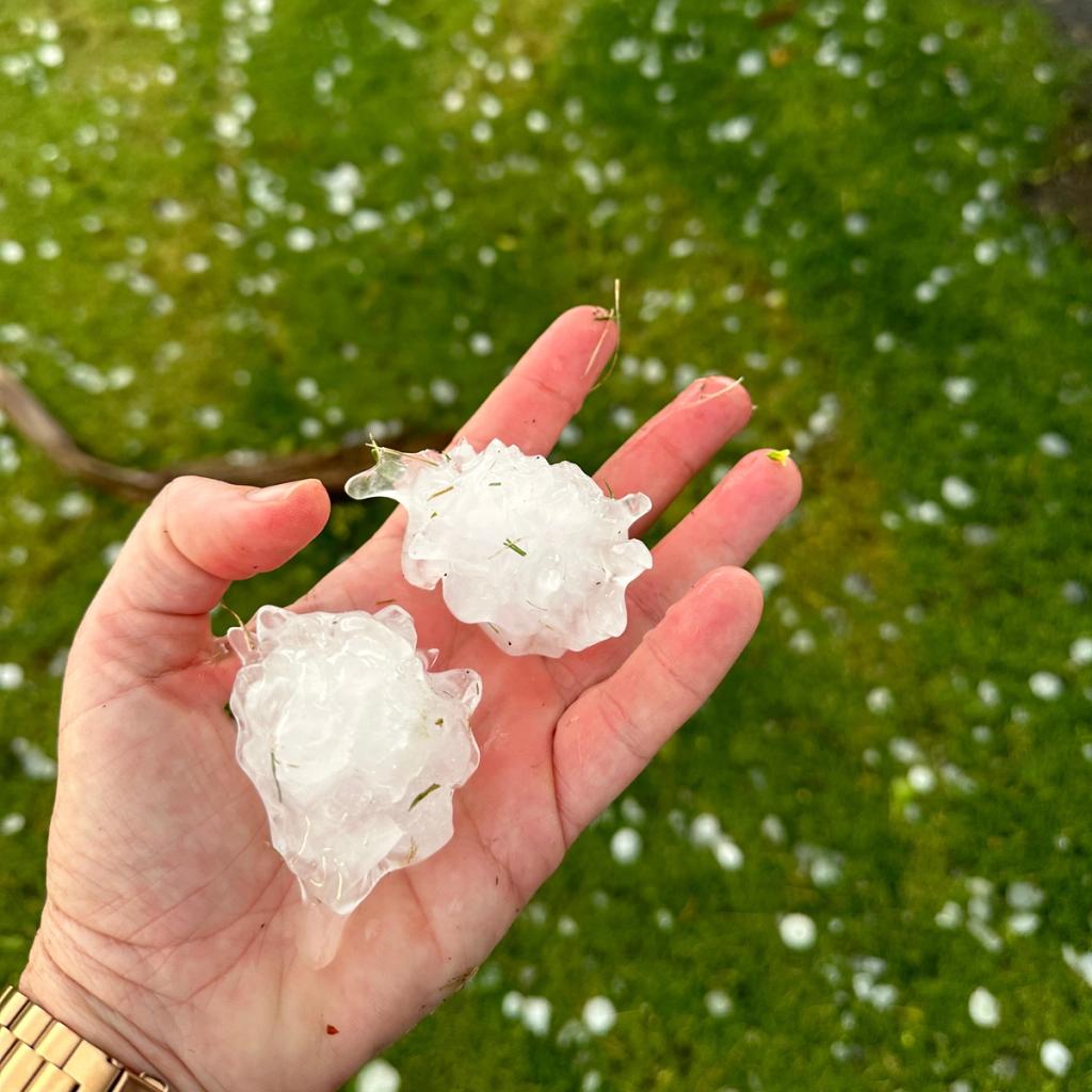 Paddock Perspectives | Wayne & Leanne Ziesemer and family – Amaroo ...