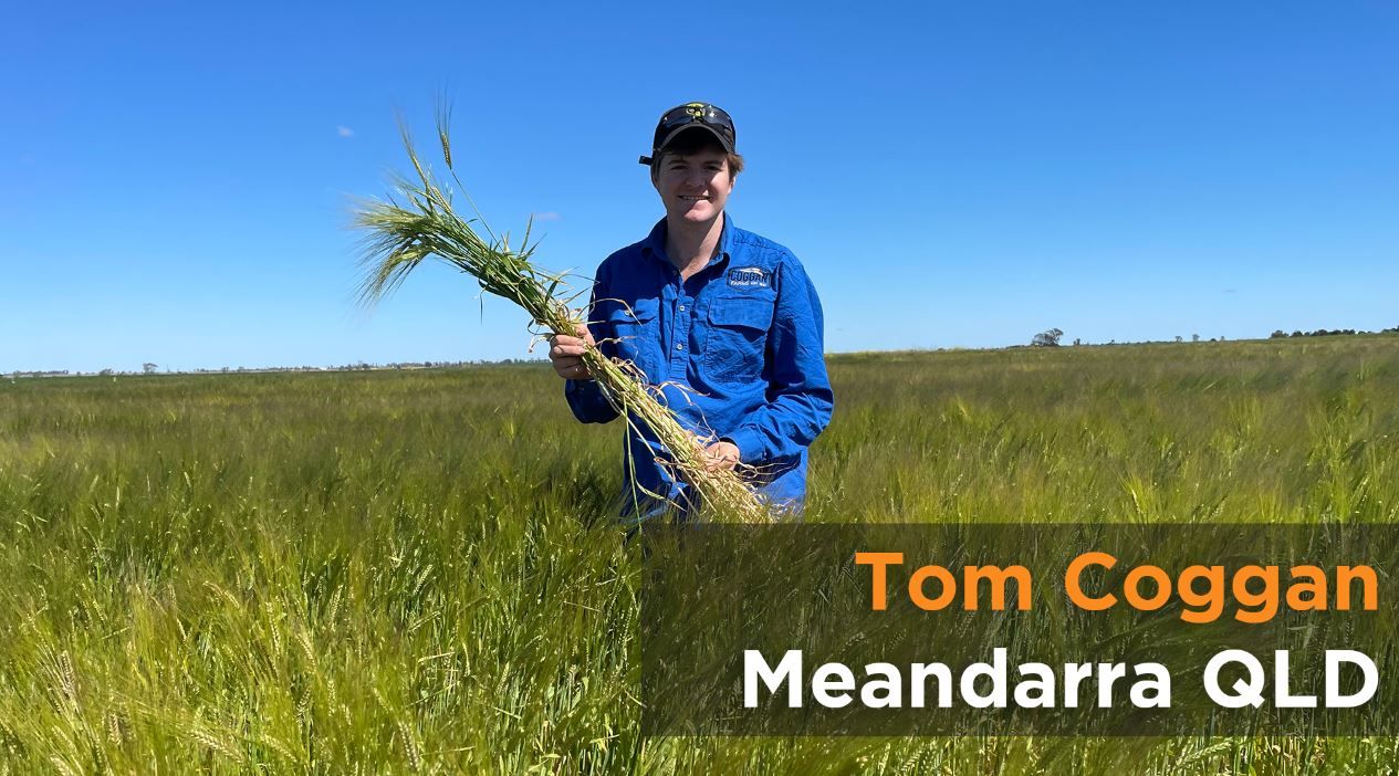 Paddock Perspectives | Coggan Farms QLD | Building a more profitable ...