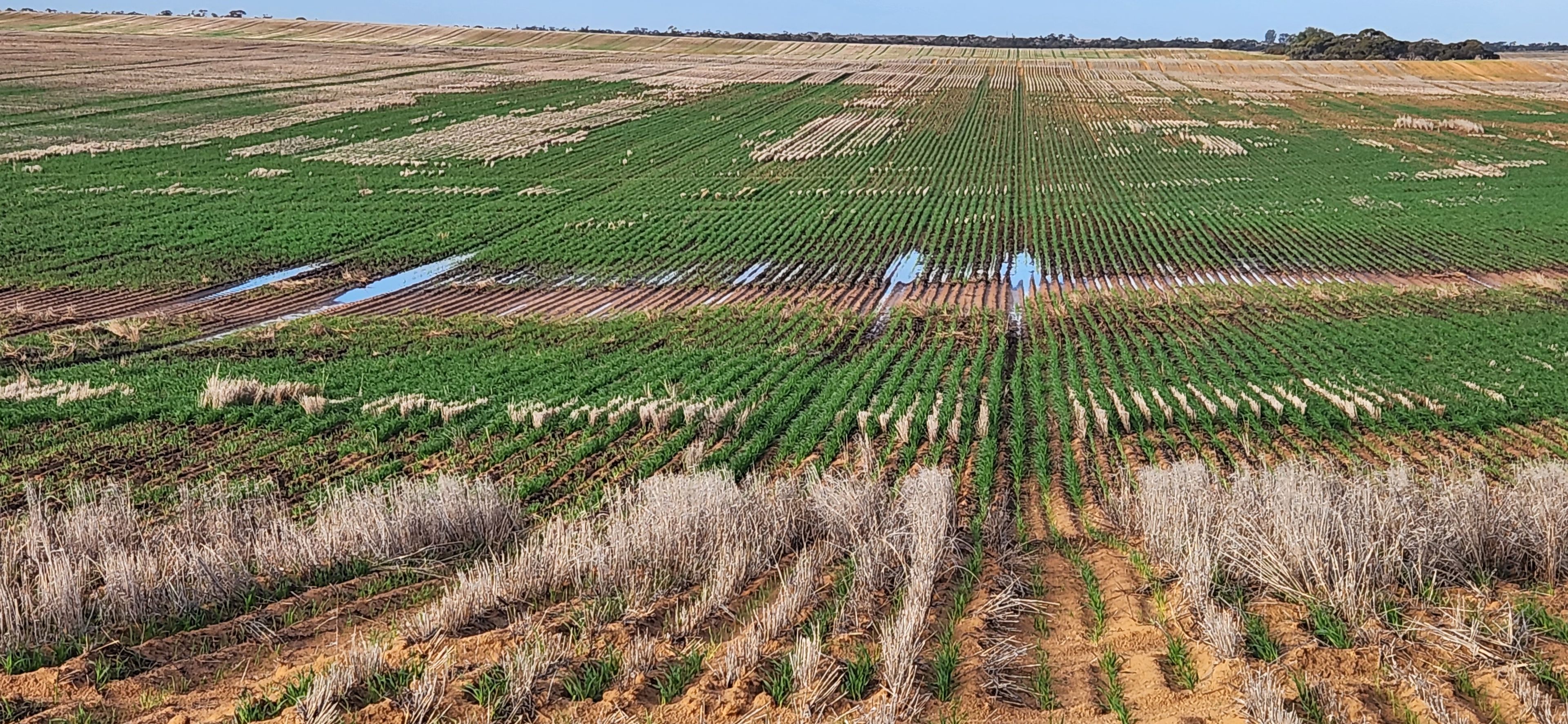 Paddock Perspectives | Jim Wakefield – Walpeup, VIC | Building a more ...