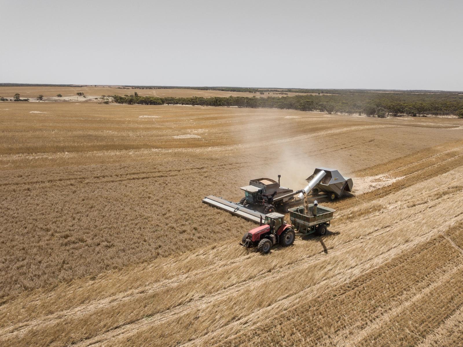 Paddock Perspective | Roanne and Gareth Scholz - Minnipa SA | Building ...