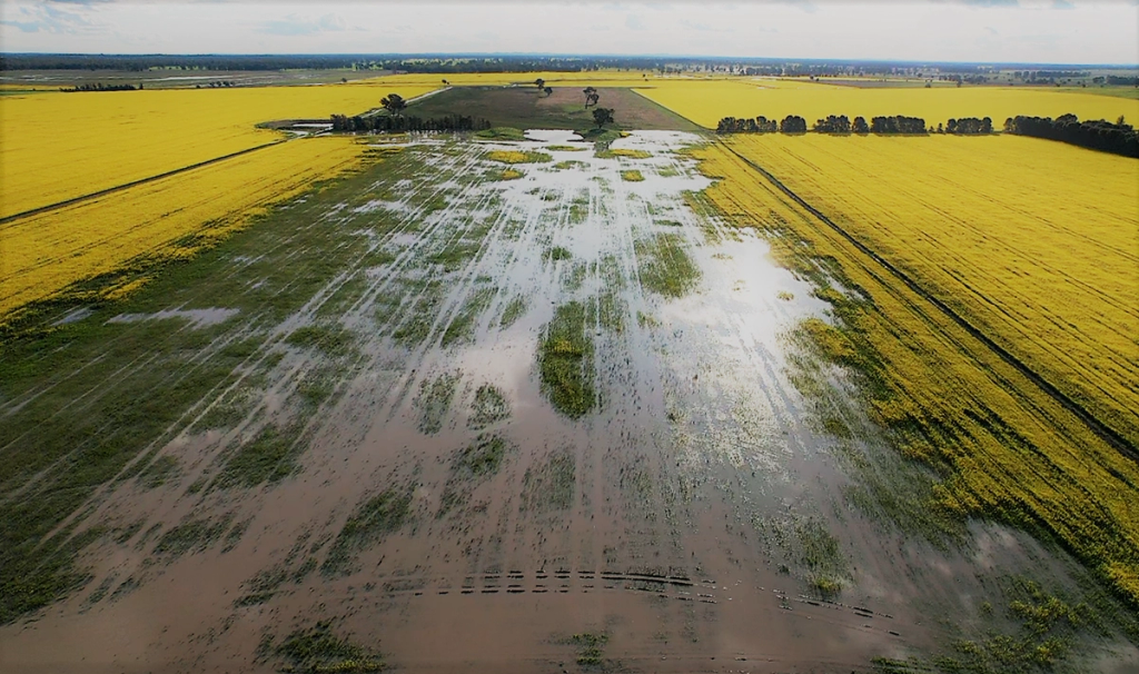 Paddock Perspectives | Karen & Mitch Pollock NSW | Building a more ...