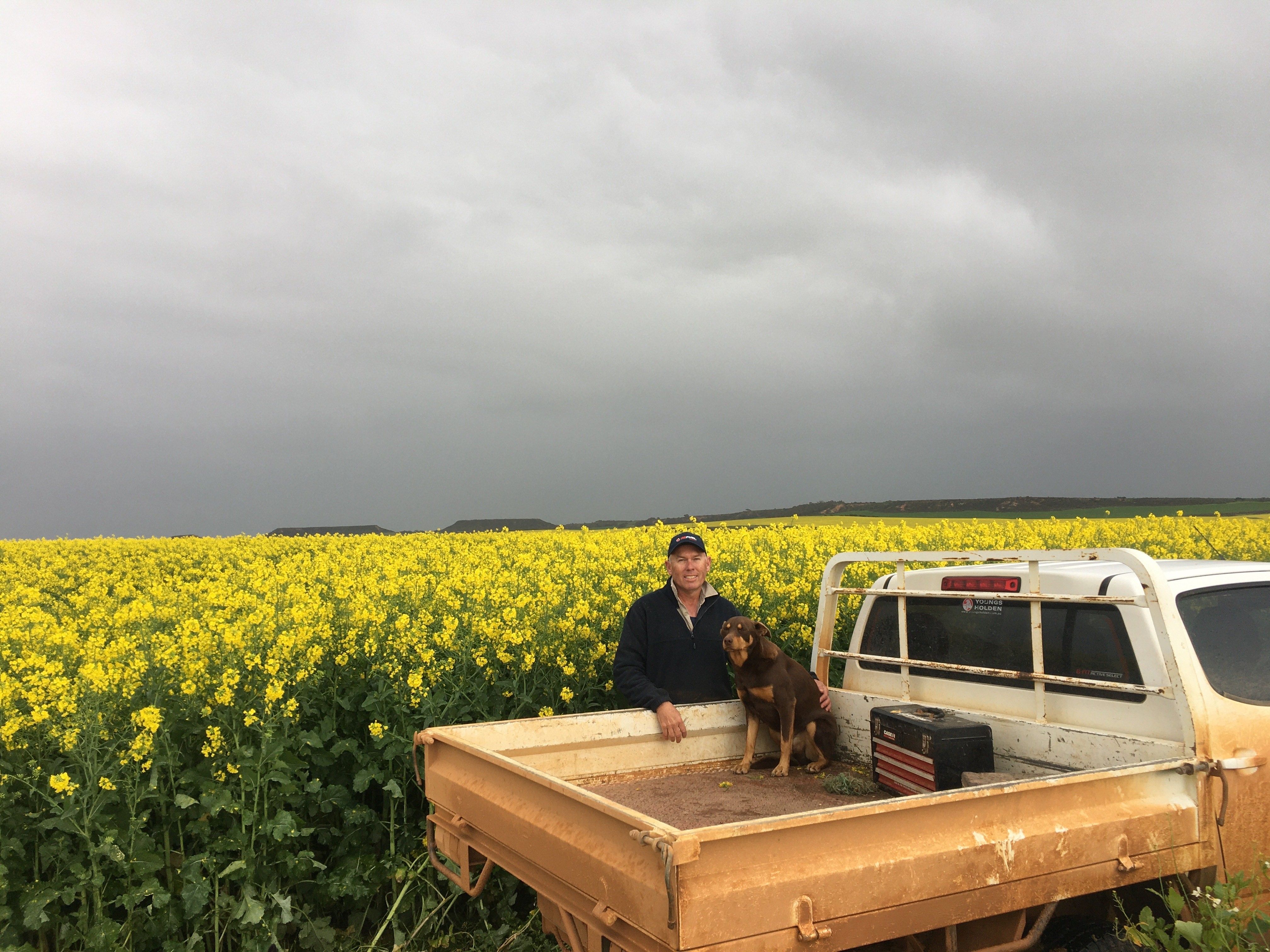 Paddock Perspectives | Jim Heal Three Springs WA | Building a more ...