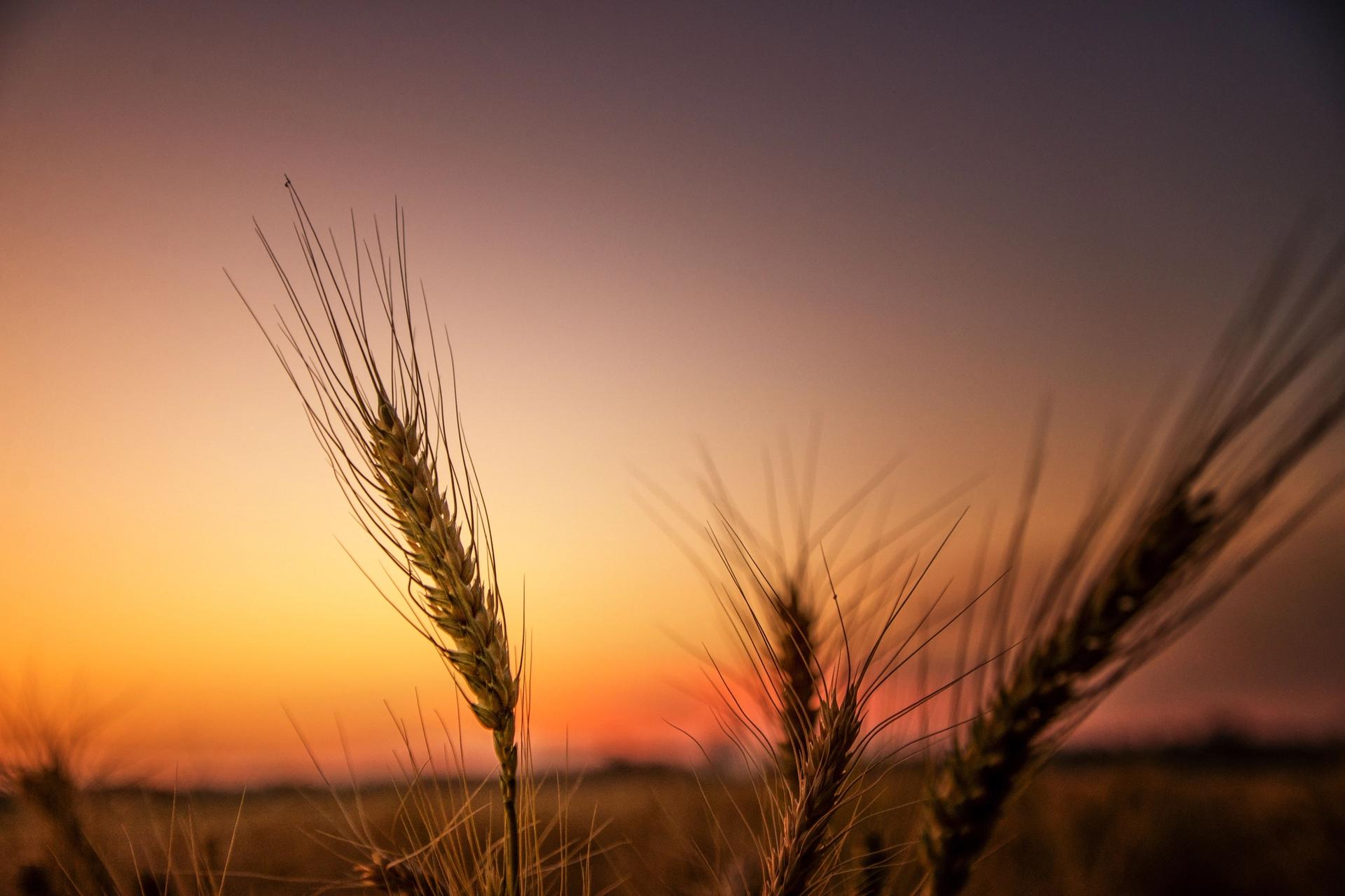 Where are we at with the ISCC? | Building a more profitable and ...