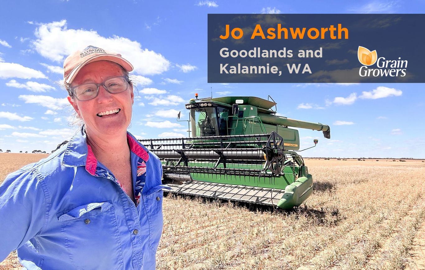 Paddock Perspective | Jo Ashworth - Goodlands and Kalannie, WA ...