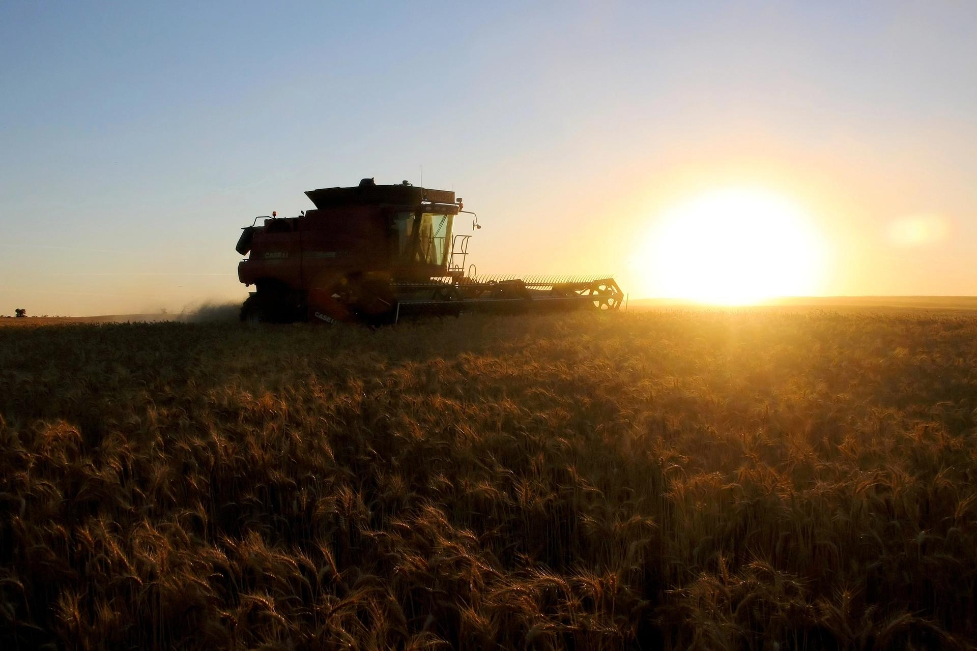 Connecting the Dots: Improving Australian Grain Supply Chain Efficiency ...