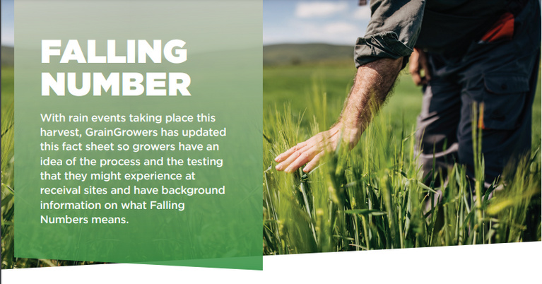 Falling Numbers Guide | Building a more profitable and sustainable ...