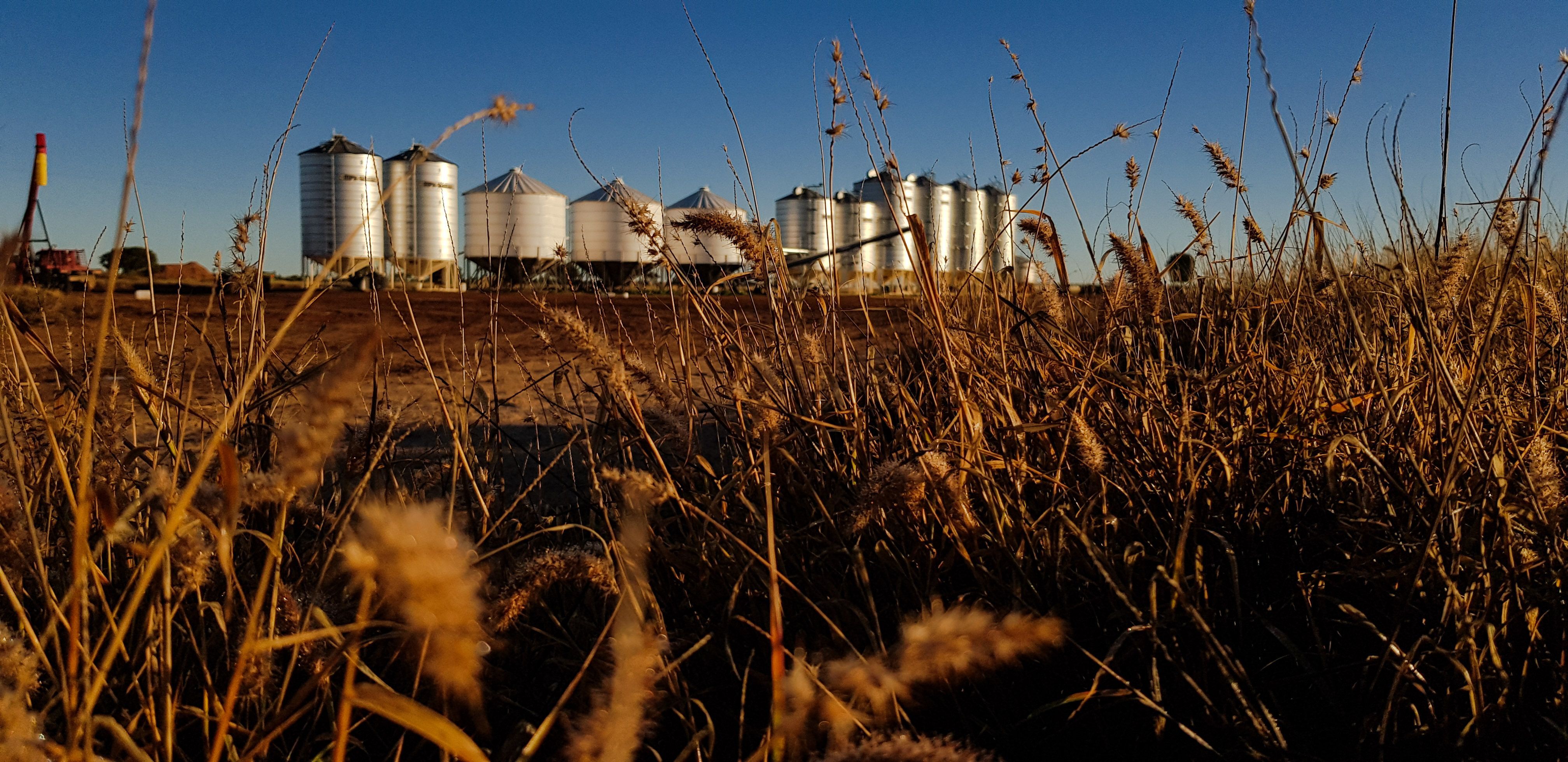 2021 Budget impacts for Australian growers | Building a more profitable ...