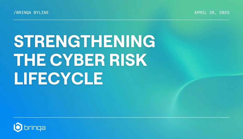 Strengthening the Cyber Risk Lifecycle - Brinqa