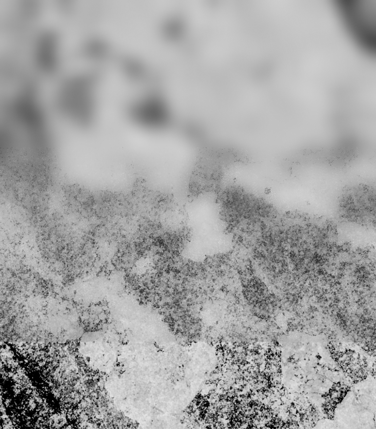 Run your salon with Vev software