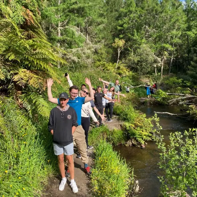 Top Quality Accommodation | Wild Kiwi