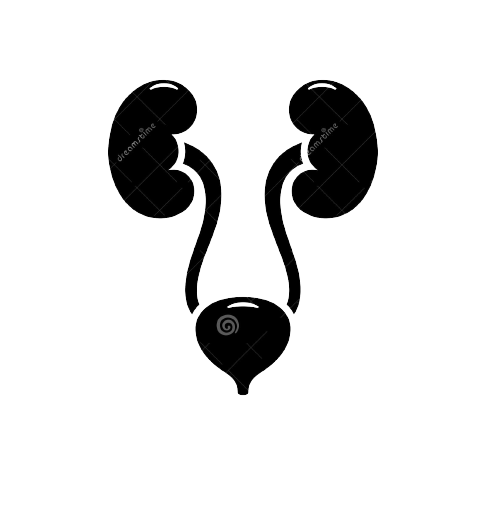 Dr G N Sahoo - Leading Laparoscopic and Cancer Surgeon in Bokaro