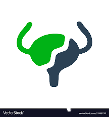 Dr G N Sahoo - Leading Laparoscopic and Cancer Surgeon in Bokaro