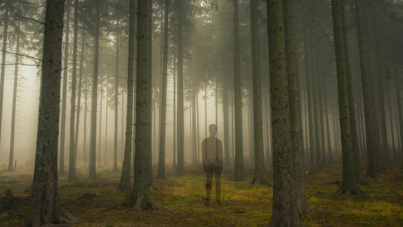 Operation Wandering Soul: The Ghostly Psy-Op That Haunted Vietnam ...