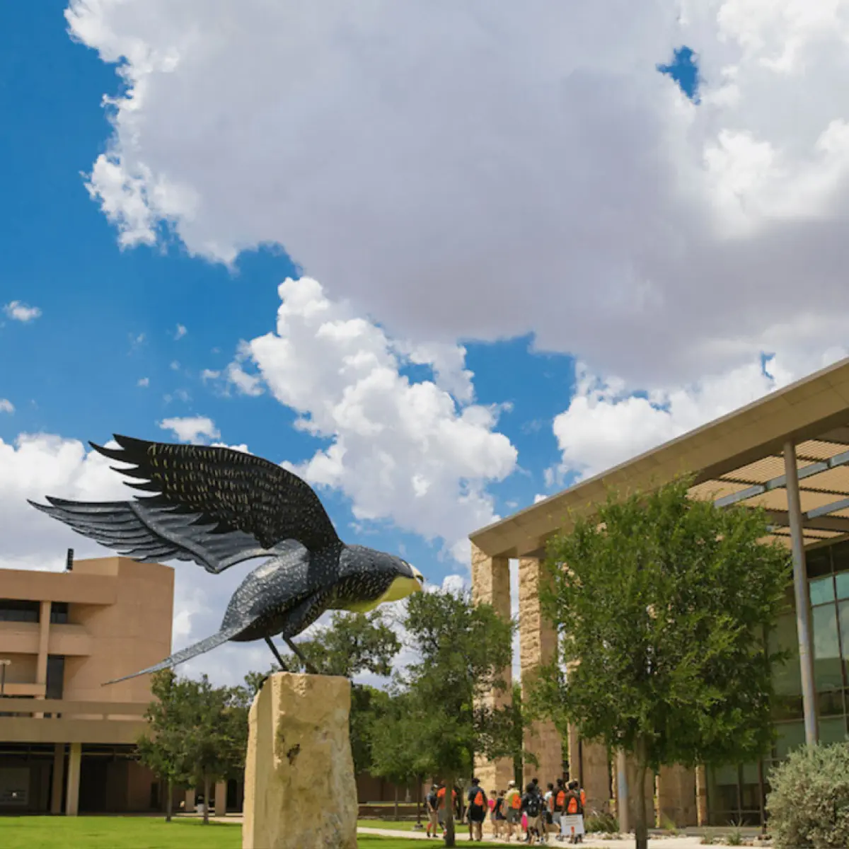 How TCU unified advising to create a stronger path to student success ...