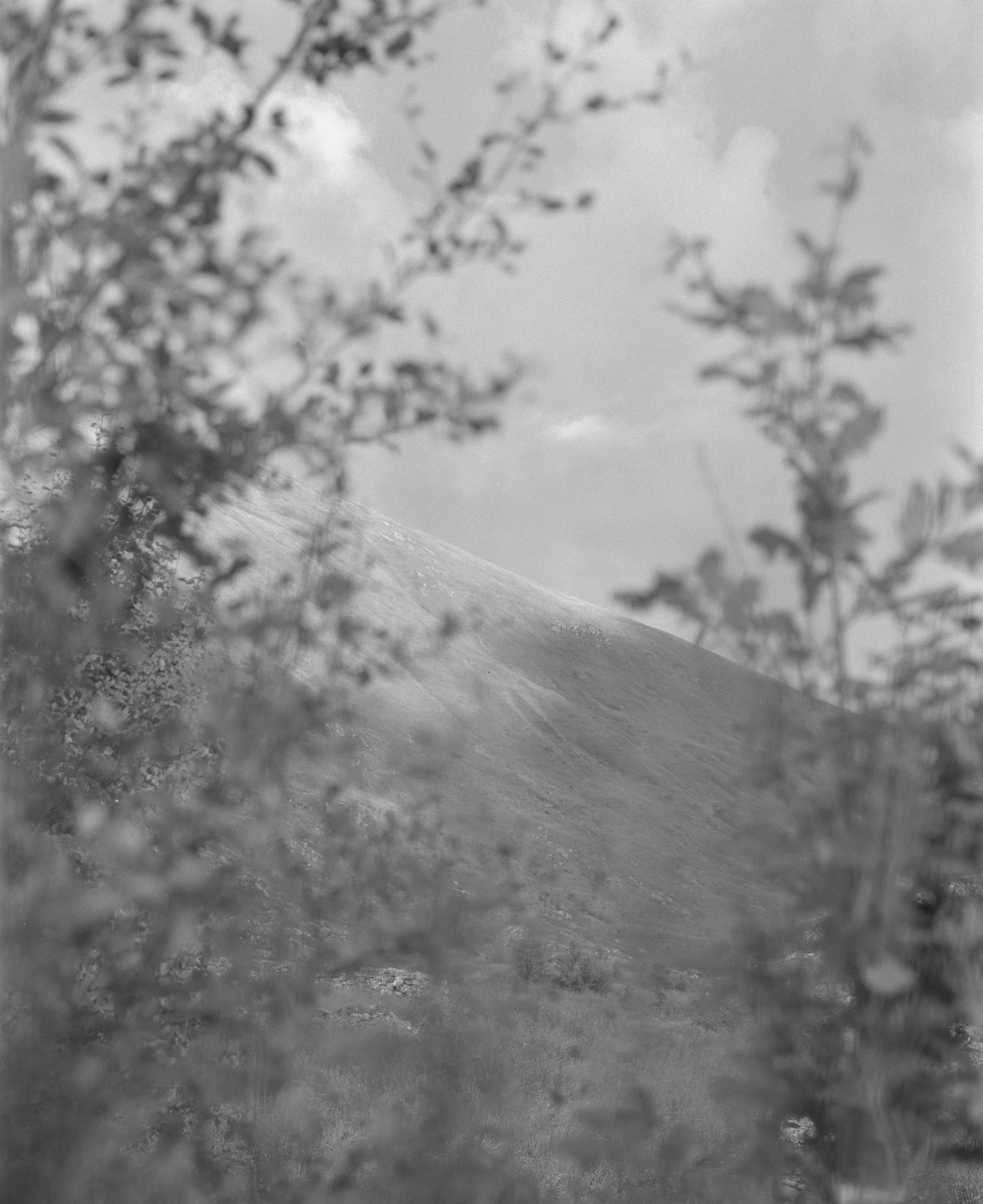 Gathering Light | Connecting Threads