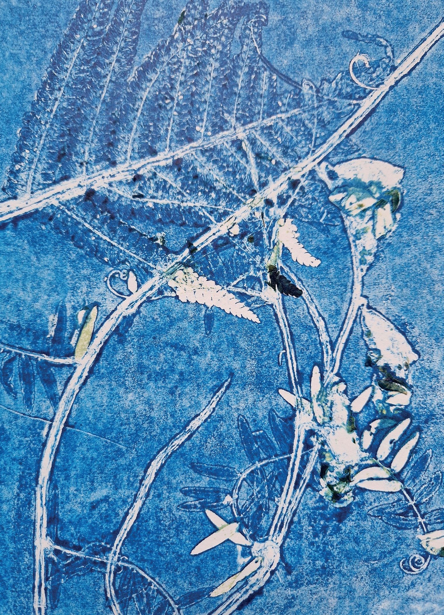 Tweed: an interview with poet Craig Aitchison | Connecting Threads