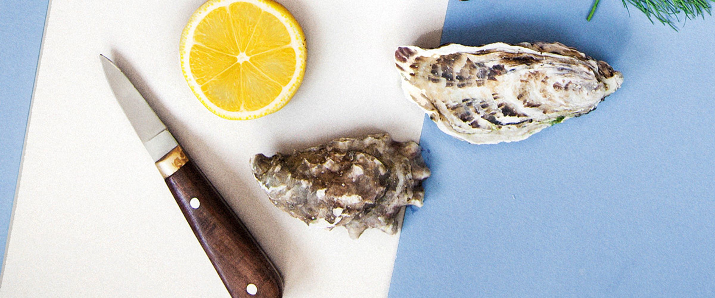 Så öppnar du ostron - Lär dig öppna ostron med vår steg-för-steg guide