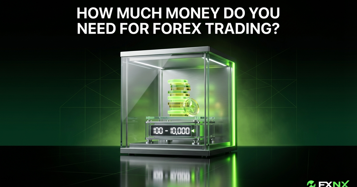 How Much Money for Forex Trading? Minimum Capital | FXNX