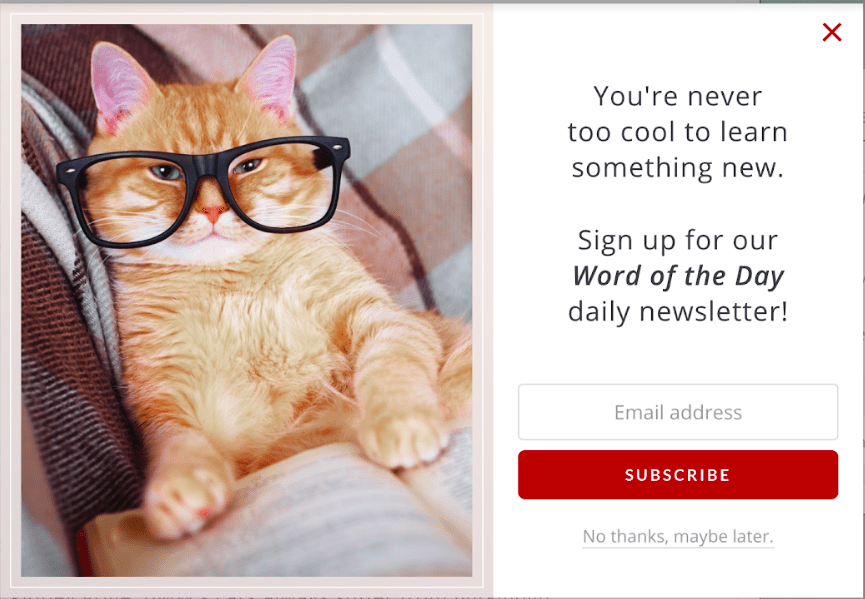 Transform Your View on Pop-Ups: 15 Inspiring Examples | Leadpages ...