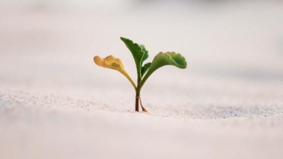 Self-Growth and Personal Transformation: A Comprehensive Guide to ...