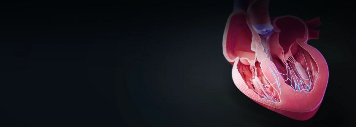 About us | Red Nucleus