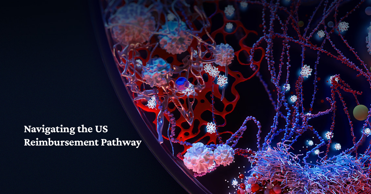 Resources, news, and insights from Red Nucleus | Red Nucleus