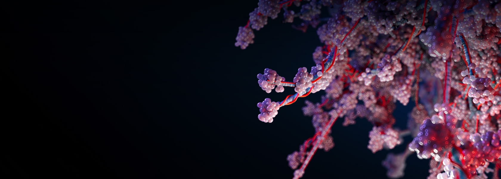 Medical Communications | Red Nucleus