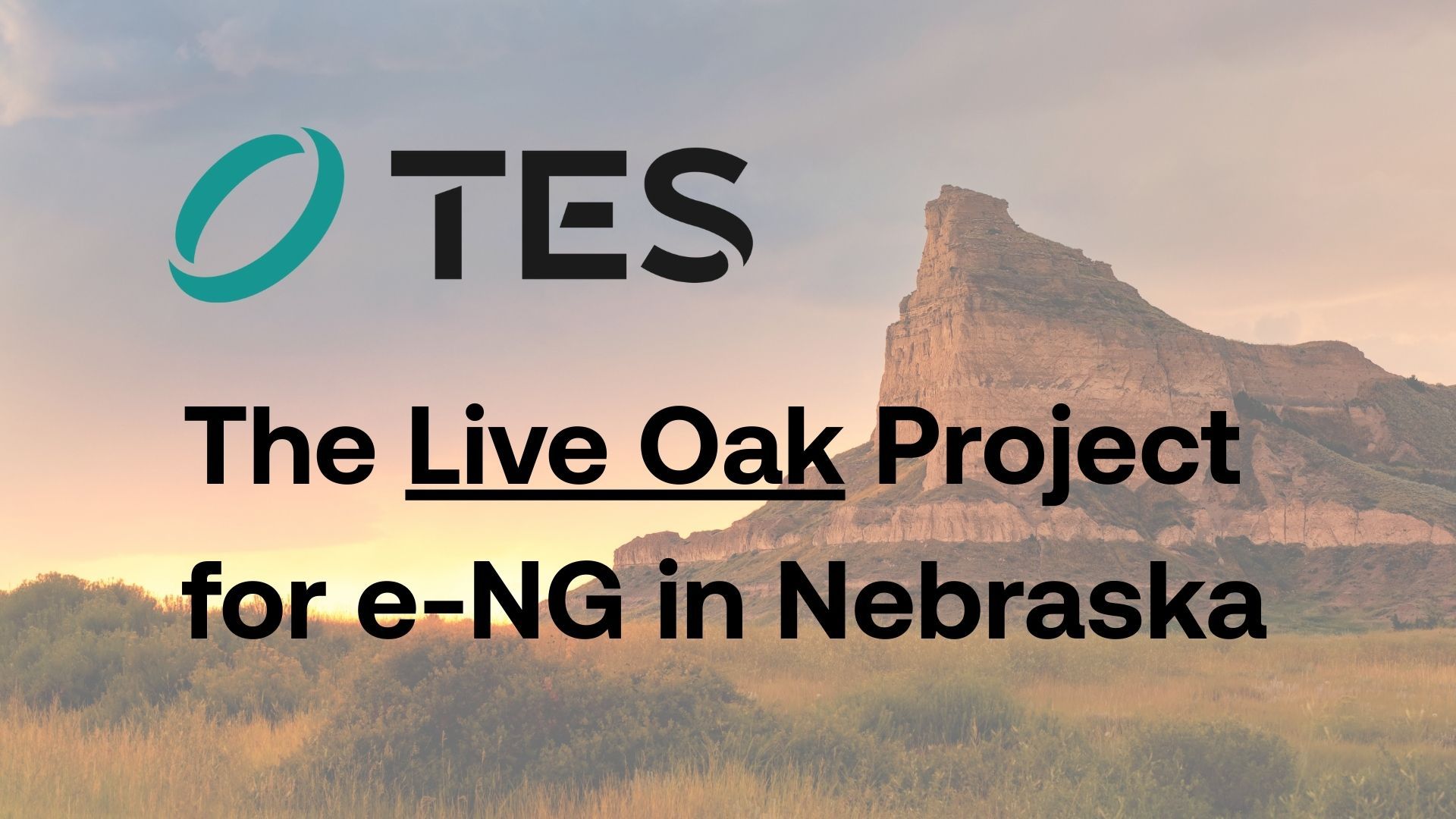TES and TotalEnergies Partner on e-NG Project in Nebraska | TES H2