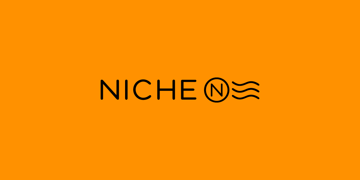 Niche BMS Case Study | Howdy Success Stories